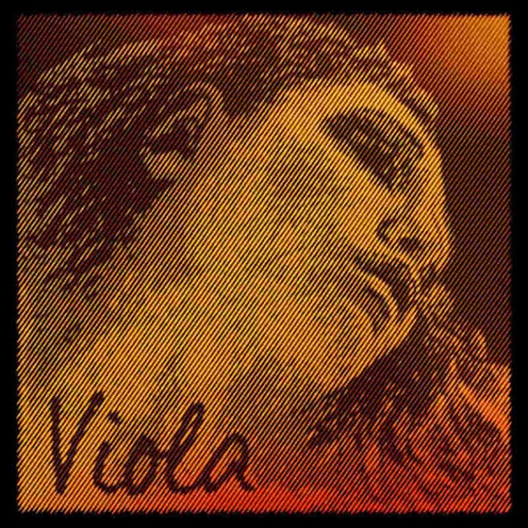 Evah Pirazzi Gold Viola Strings | Synthetic Core Strings