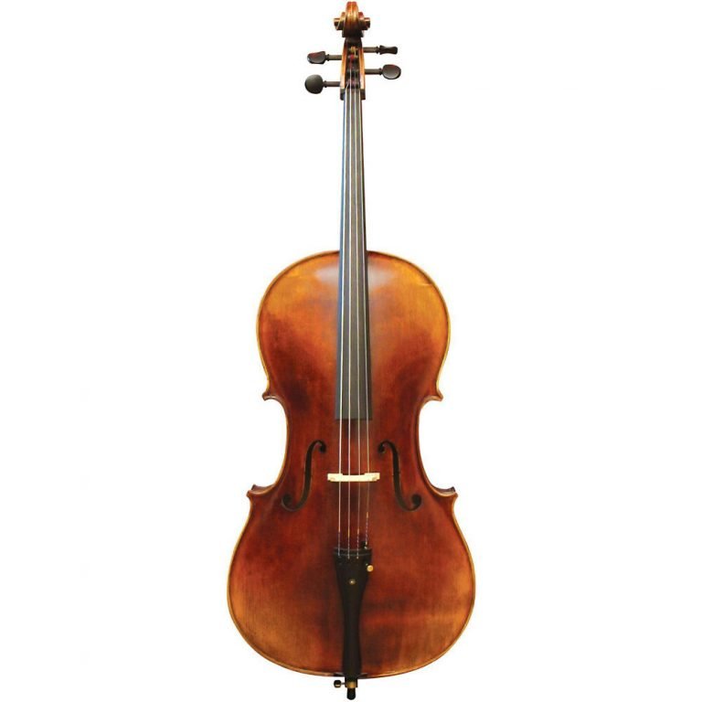 Snow Model SC200 4/4 Cello – Evergreen Workshop