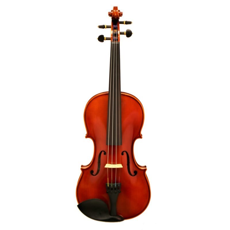 Linea Macchi Testore Model 4/4 Violin – Evergreen Workshop