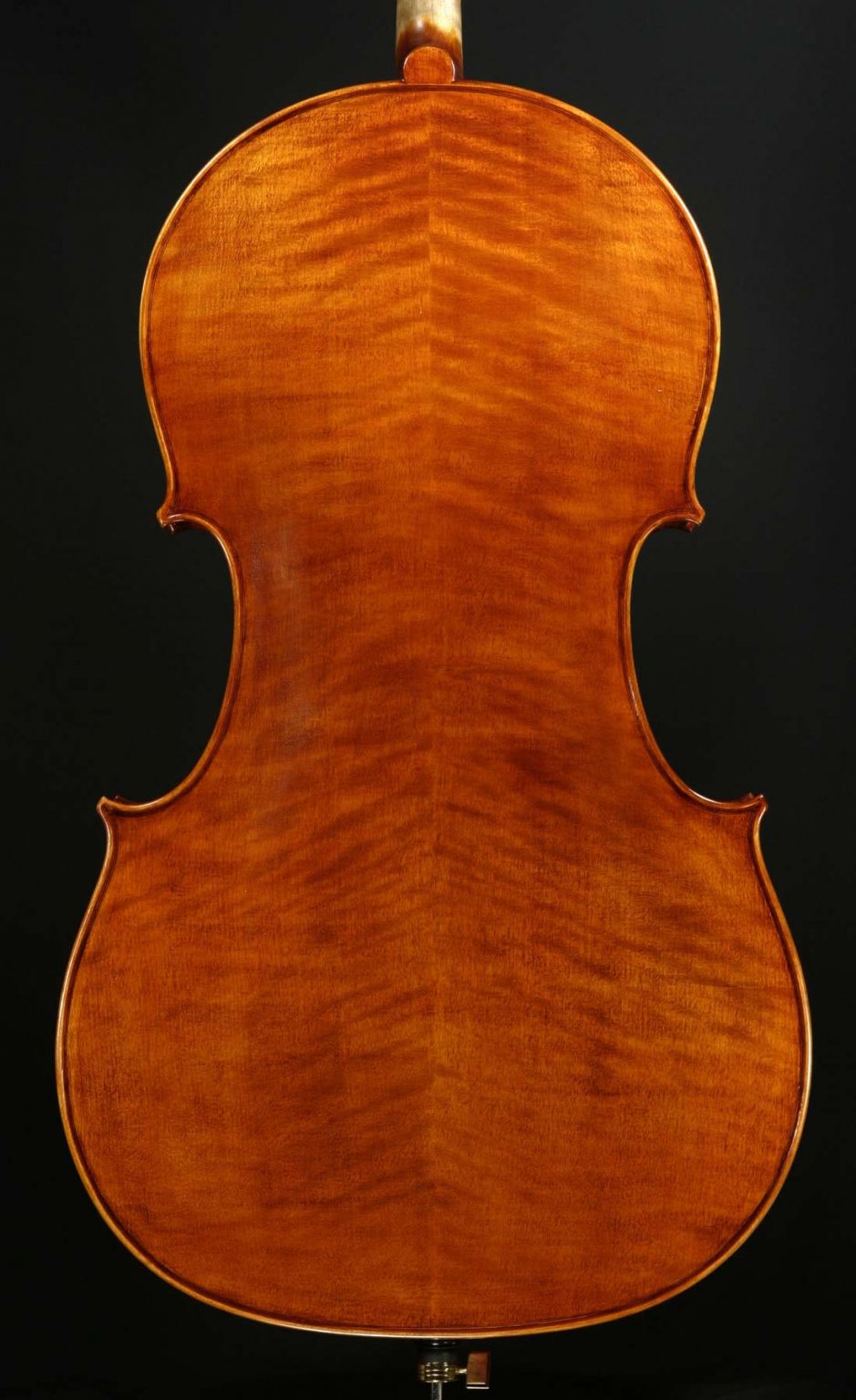 Snow Model SC200 4/4 Cello | Evergreen Workshop