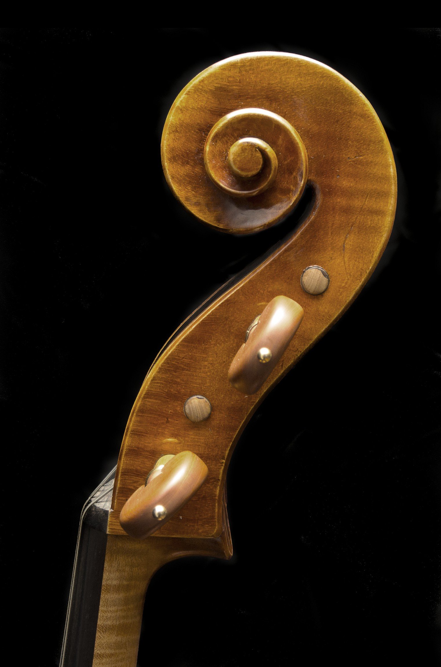 Jan Szlachtowski Gofriller Model 4/4 Cello | Evergreen Workshop