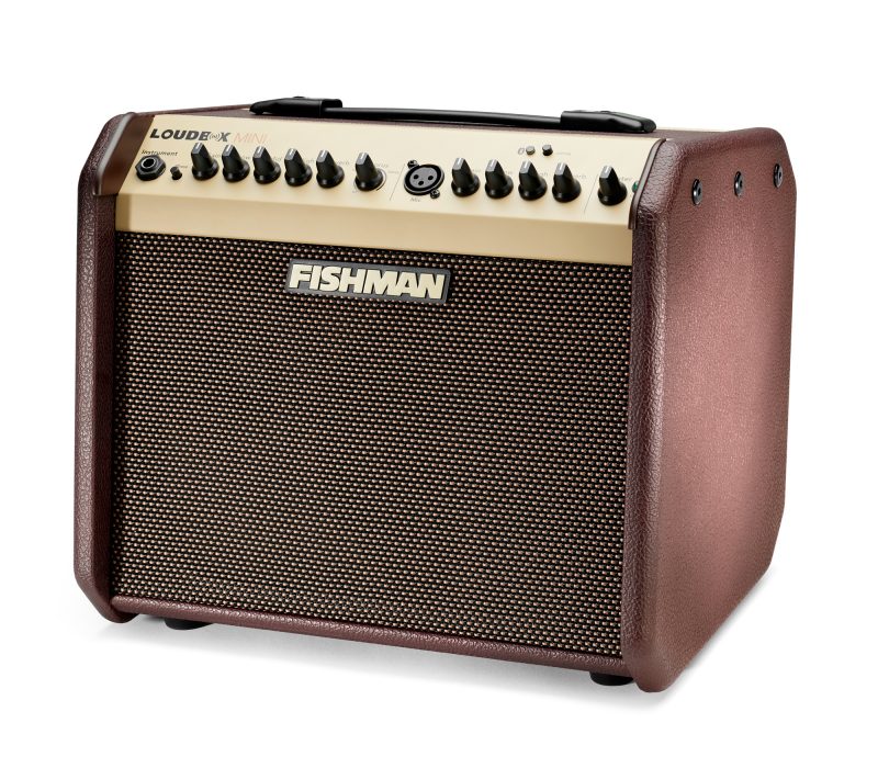 Fishman Loudbox Mini Amplifier | Evergreen Workshop