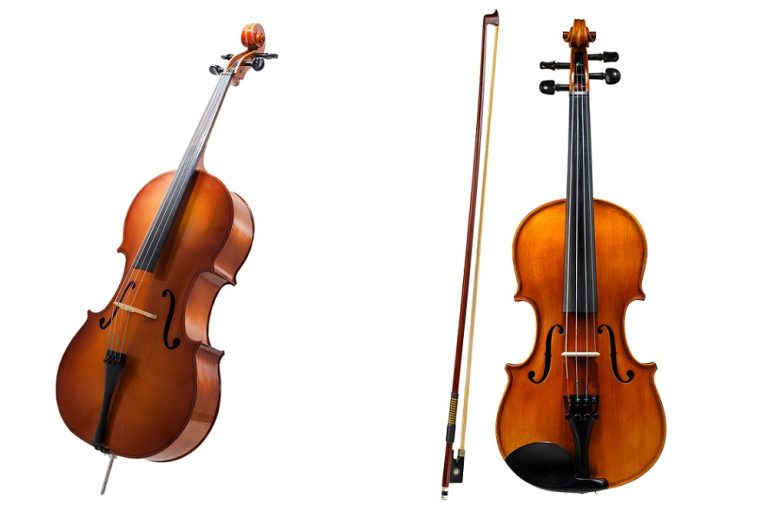 Difference Between Viola and Violin – Evergreen Workshop